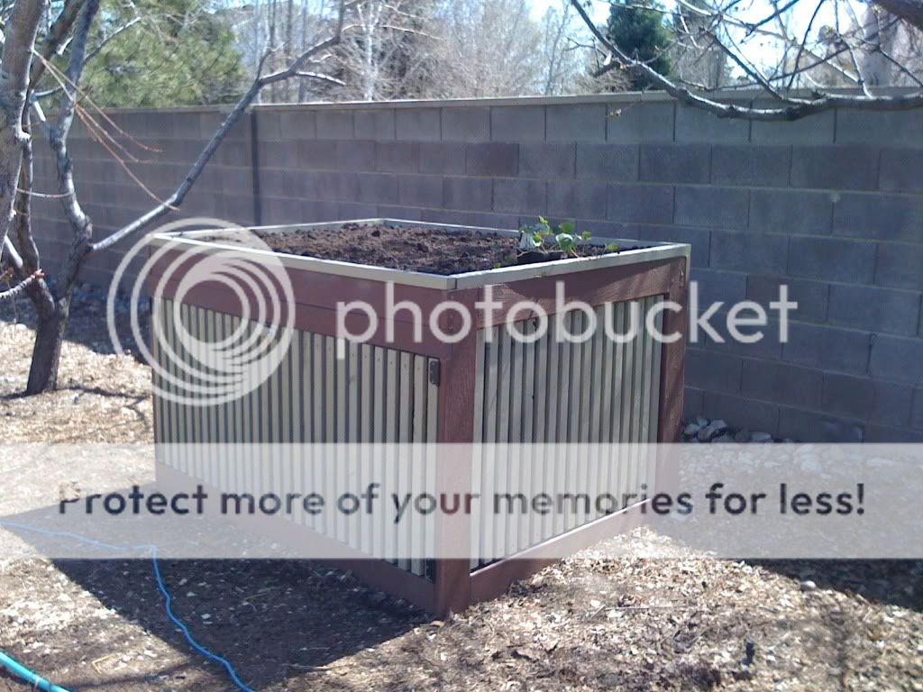 Brand New Bantam Chicken Coop | BackYard Chickens - Learn How to Raise ...