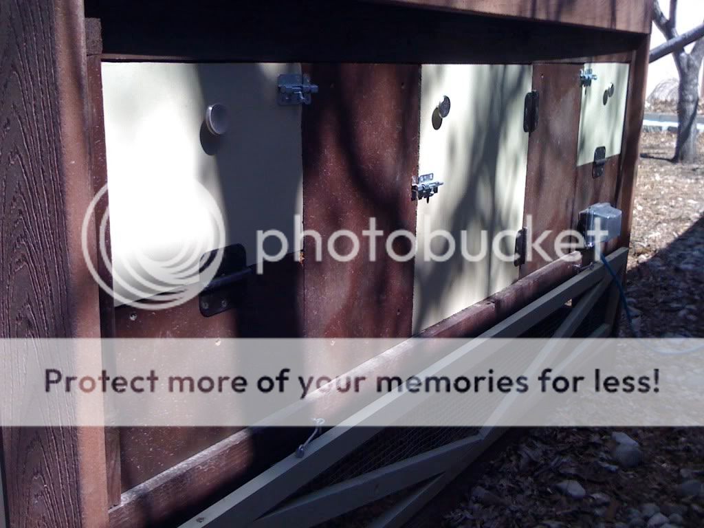 Brand New Bantam Chicken Coop | BackYard Chickens - Learn How to Raise ...